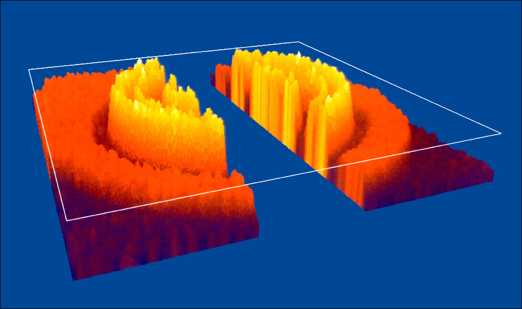3D Volume Rendering Density Map